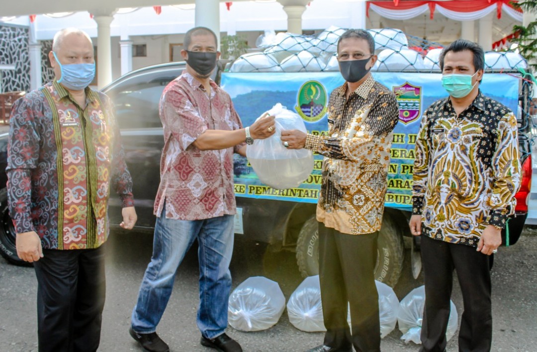 SURVEY DAMPAK MERDEKA BELAJAR KAMPUS MERDEKA TERHADAP MOTIVASI BELAJAR ...